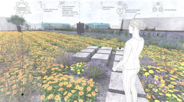 Garden Vignette Diagram - Landscape Architecture
